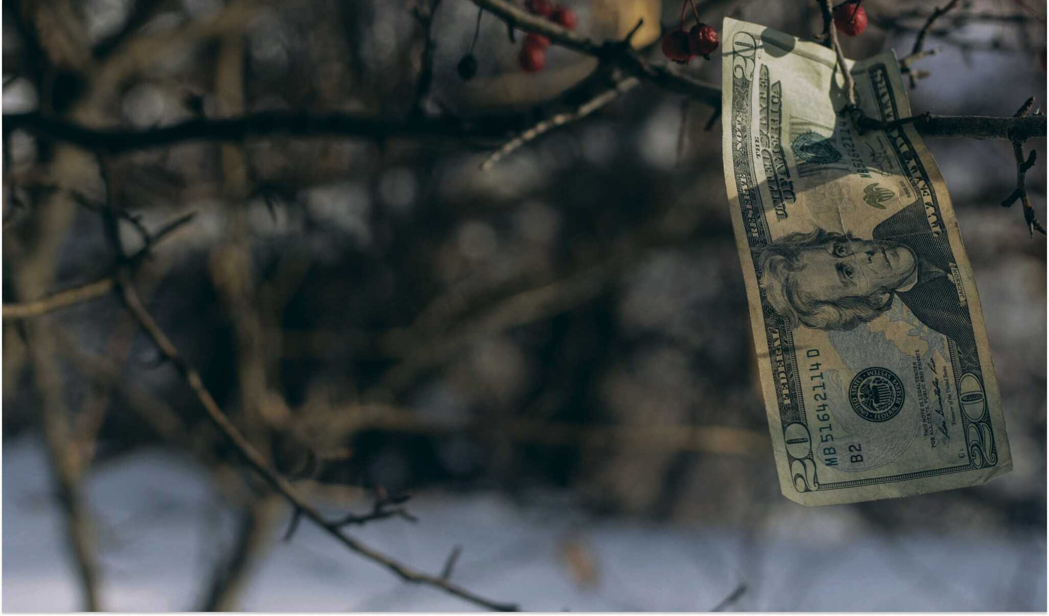 How To Find Unclaimed Money - Brigit Blog
